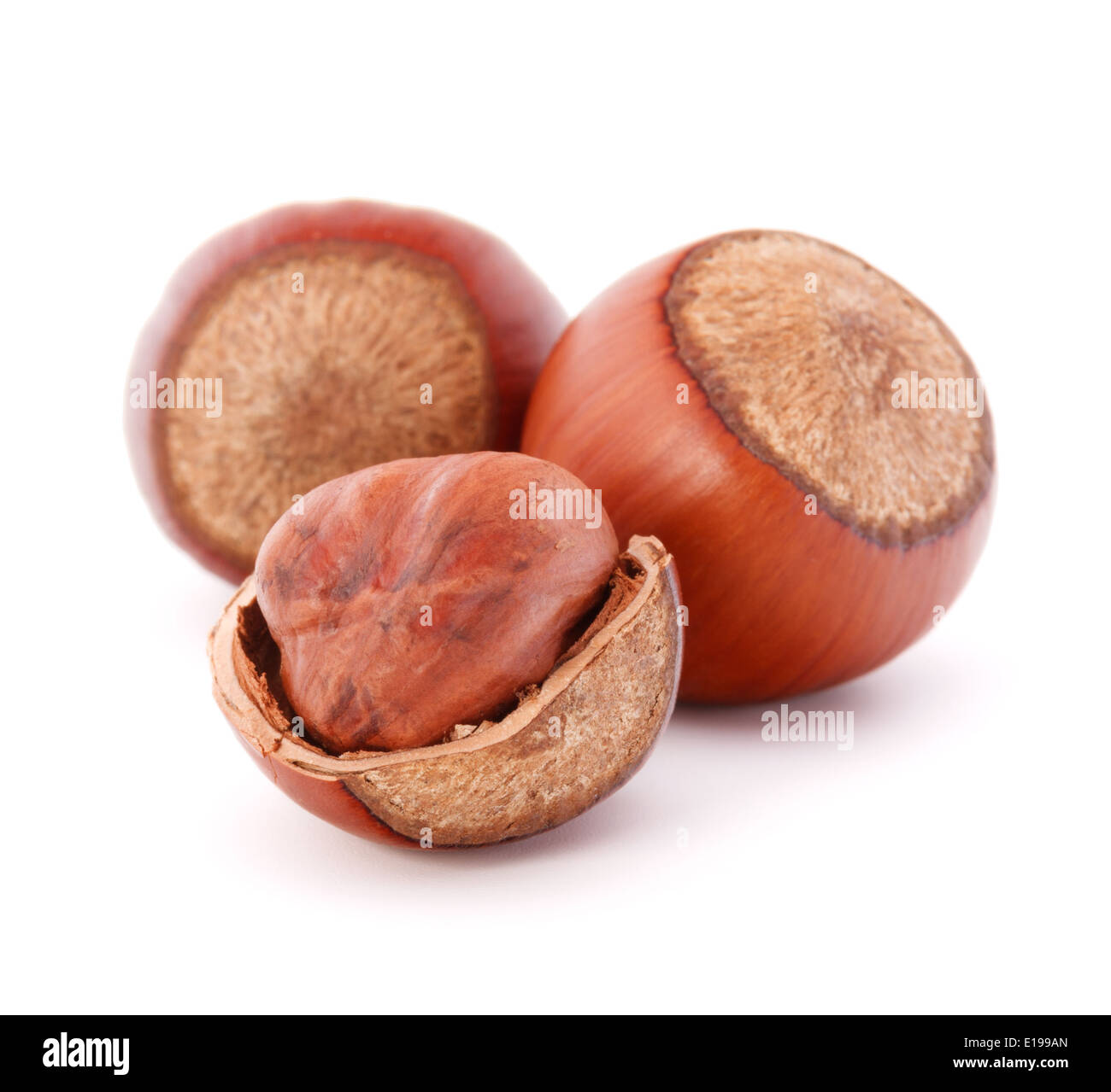 hazelnut or filbert nut isolated on white background cutout Stock Photo ...