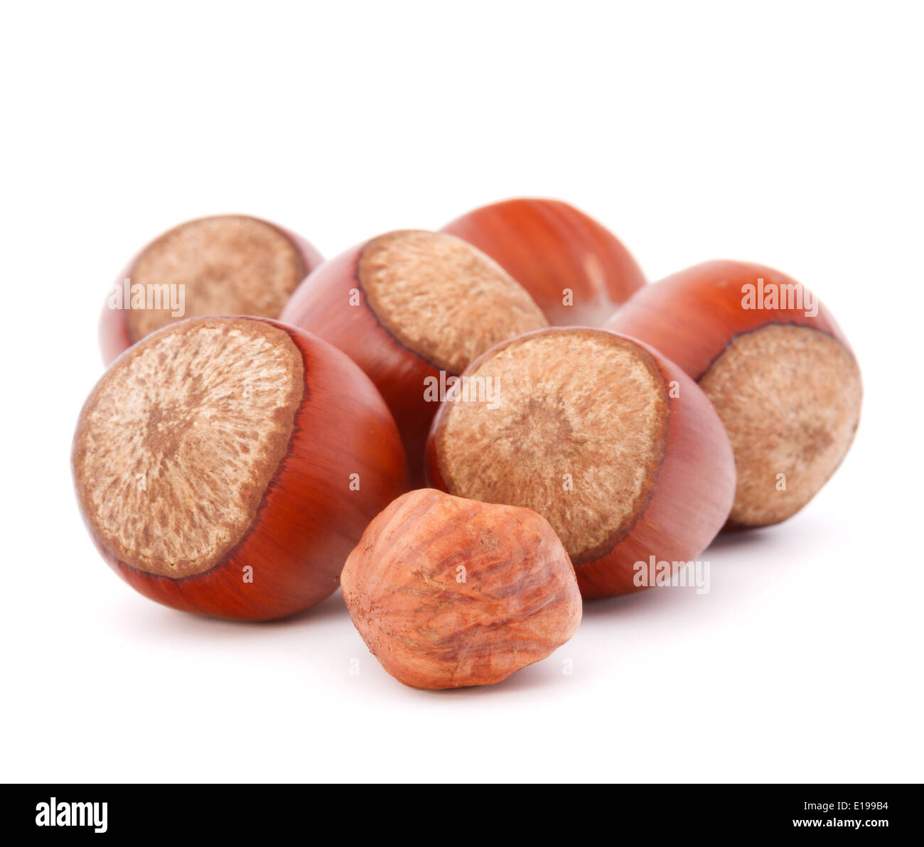 hazelnut or filbert nut isolated on white background cutout Stock Photo ...