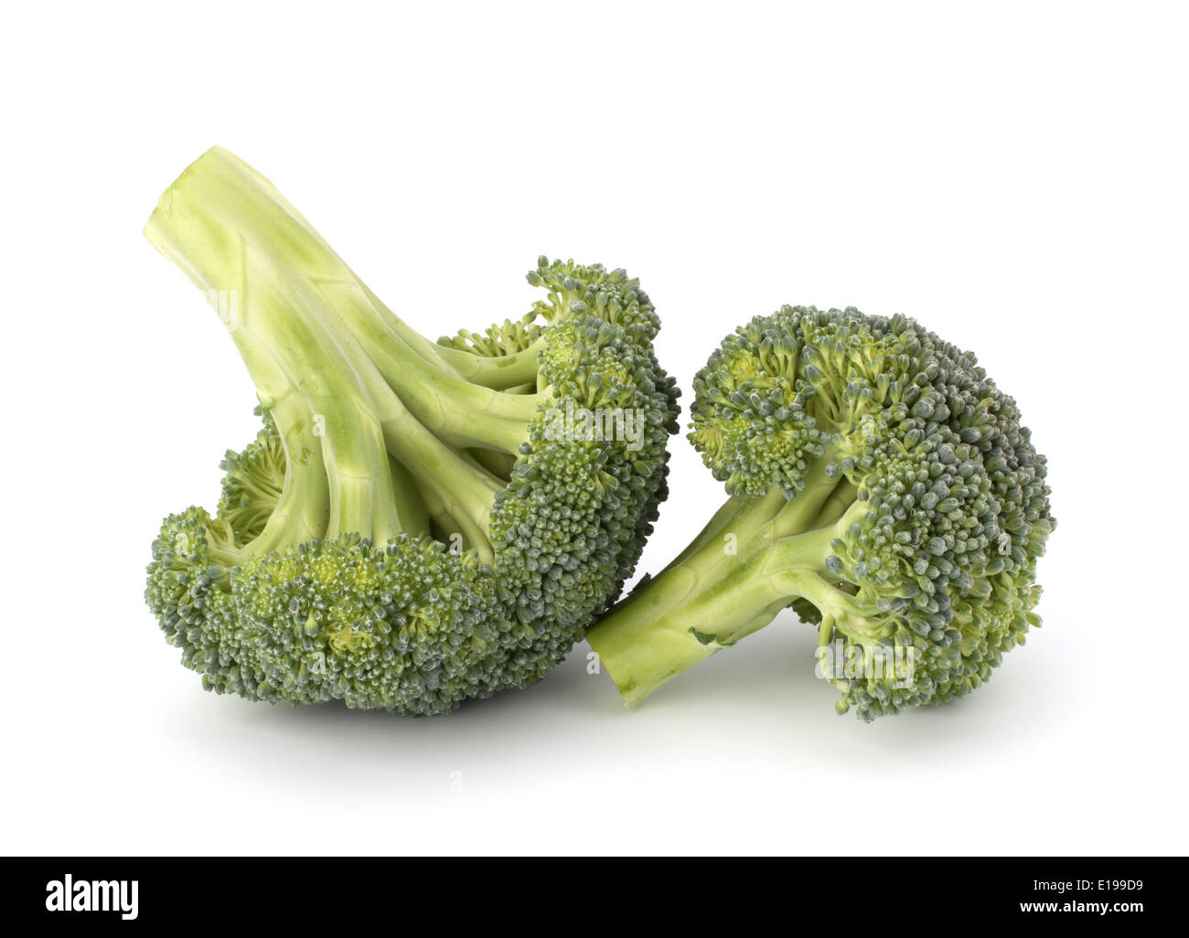 Broccoli vegetable isolated on white background Stock Photo - Alamy