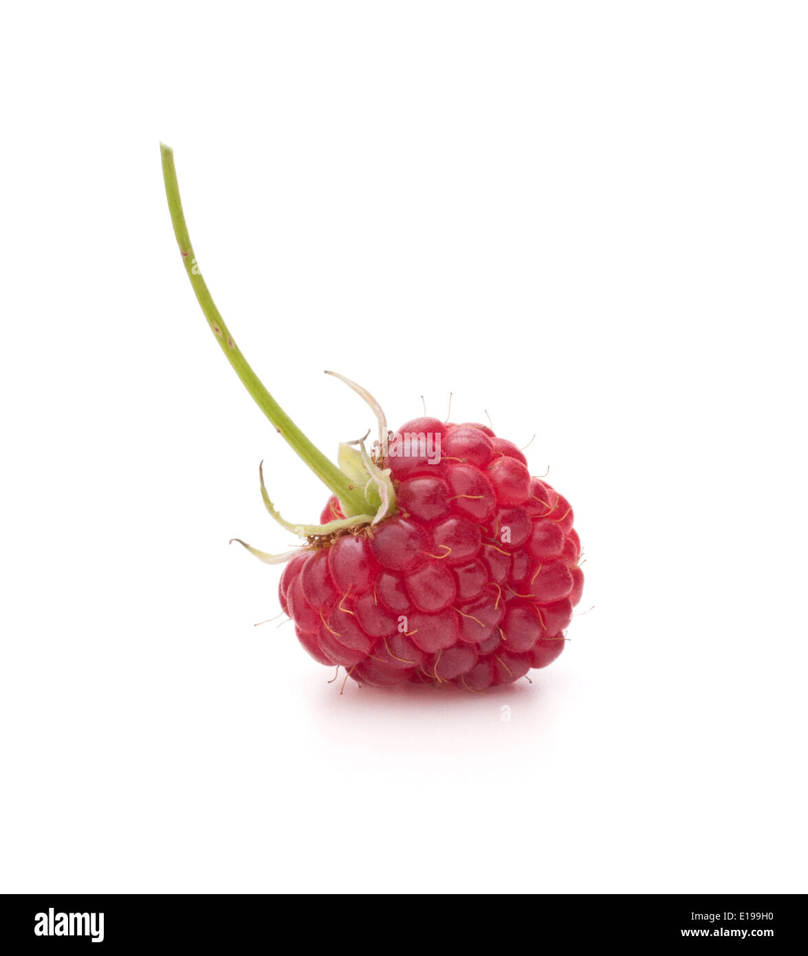 Sweet raspberry isolated on white background cutout Stock Photo - Alamy