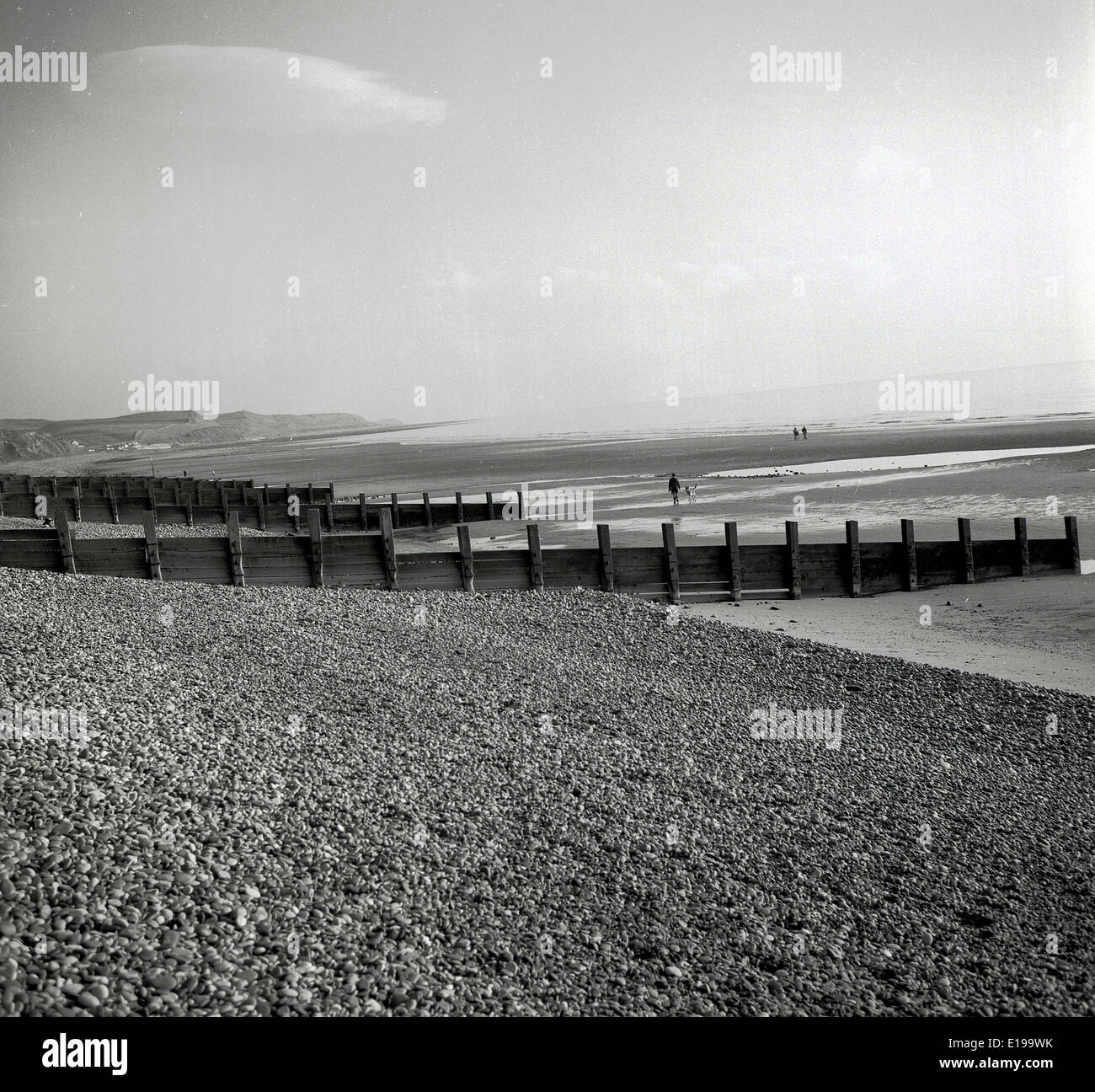 1950s historical , view of wooden sea breakers on stony beach Stock ...