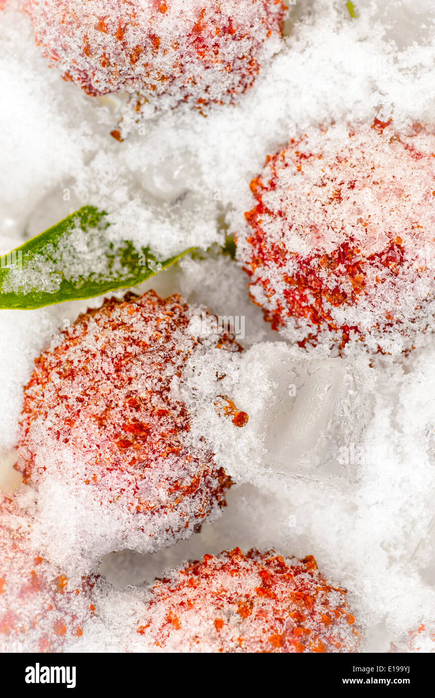 iced lychee in the snow Stock Photo - Alamy