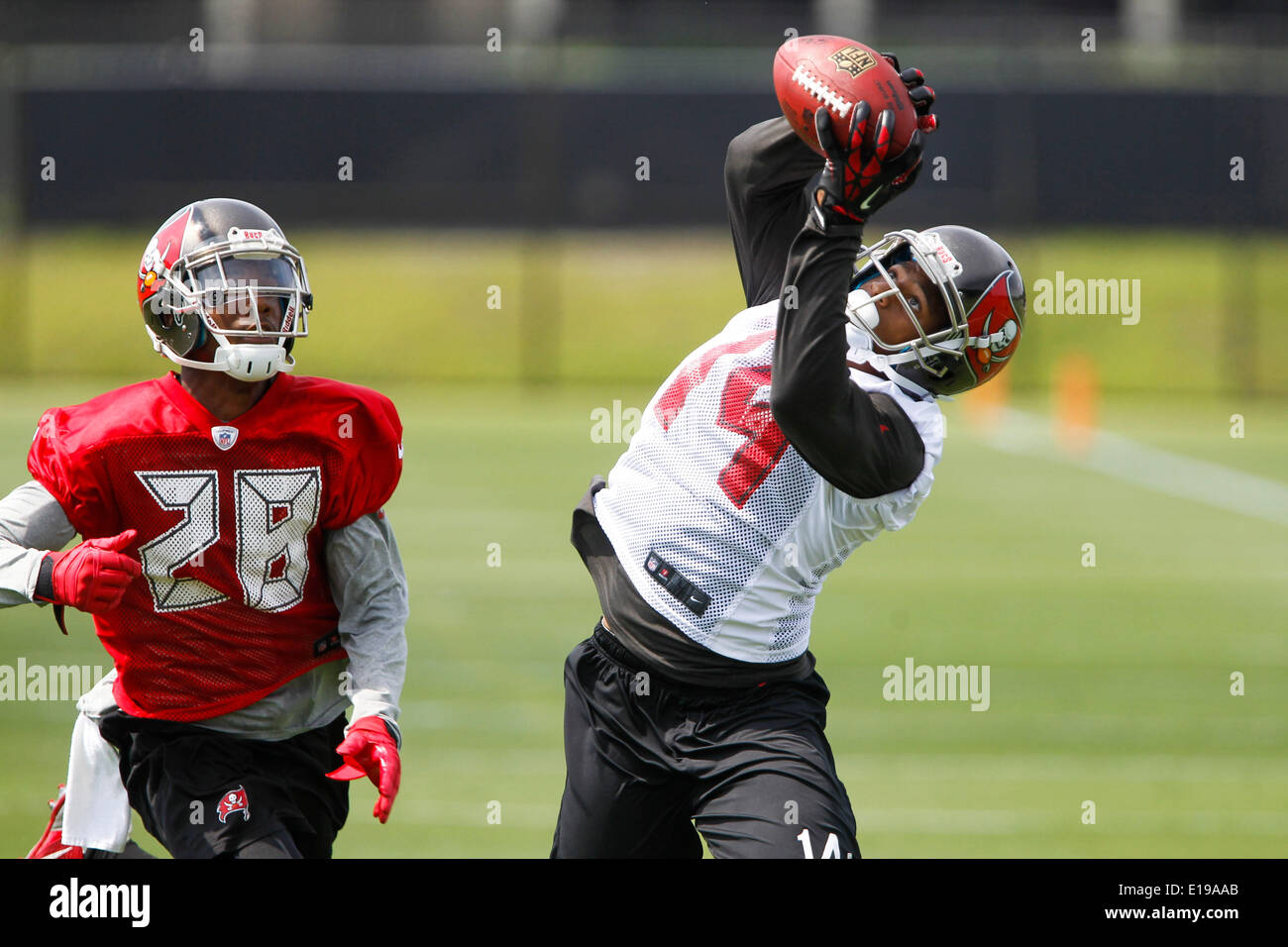 Robert Herron Buccaneers