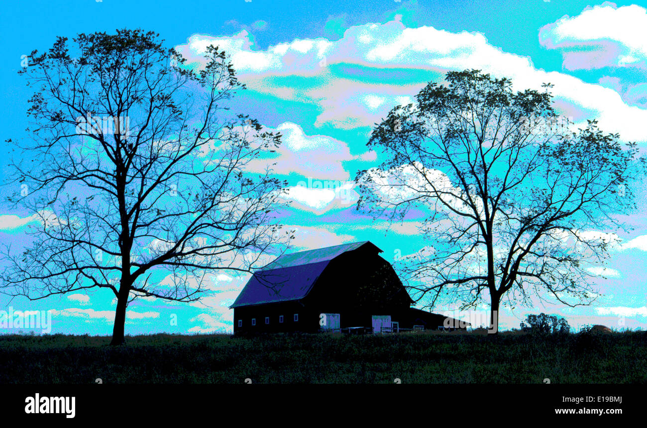 Digital tree silhouette hi-res stock photography and images - Alamy