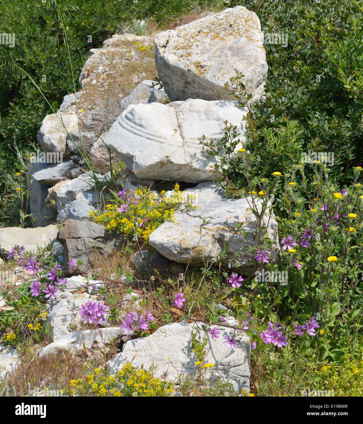 Wild flowers and ruins, Kinidos (Cnidus), Turkey 140408 60302 Stock ...