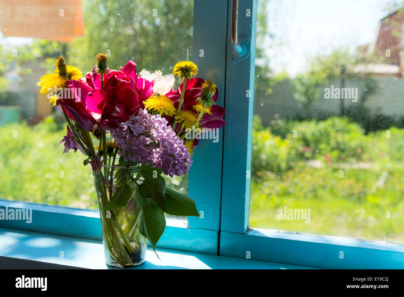 Flowers on the window Stock Photo - Alamy