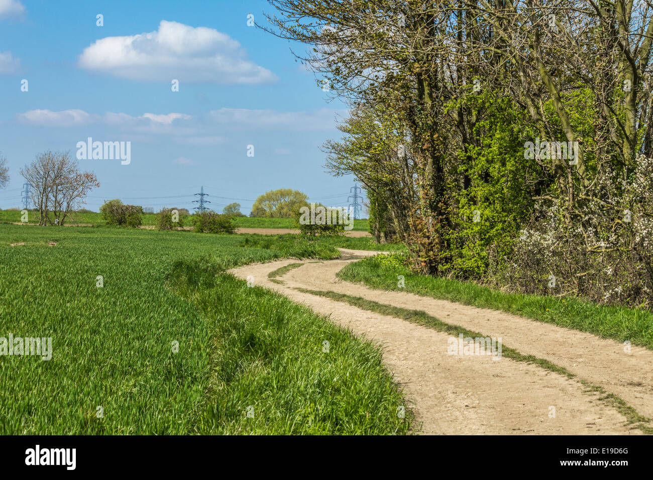 Grass field with dirt track Stock Photo - Alamy