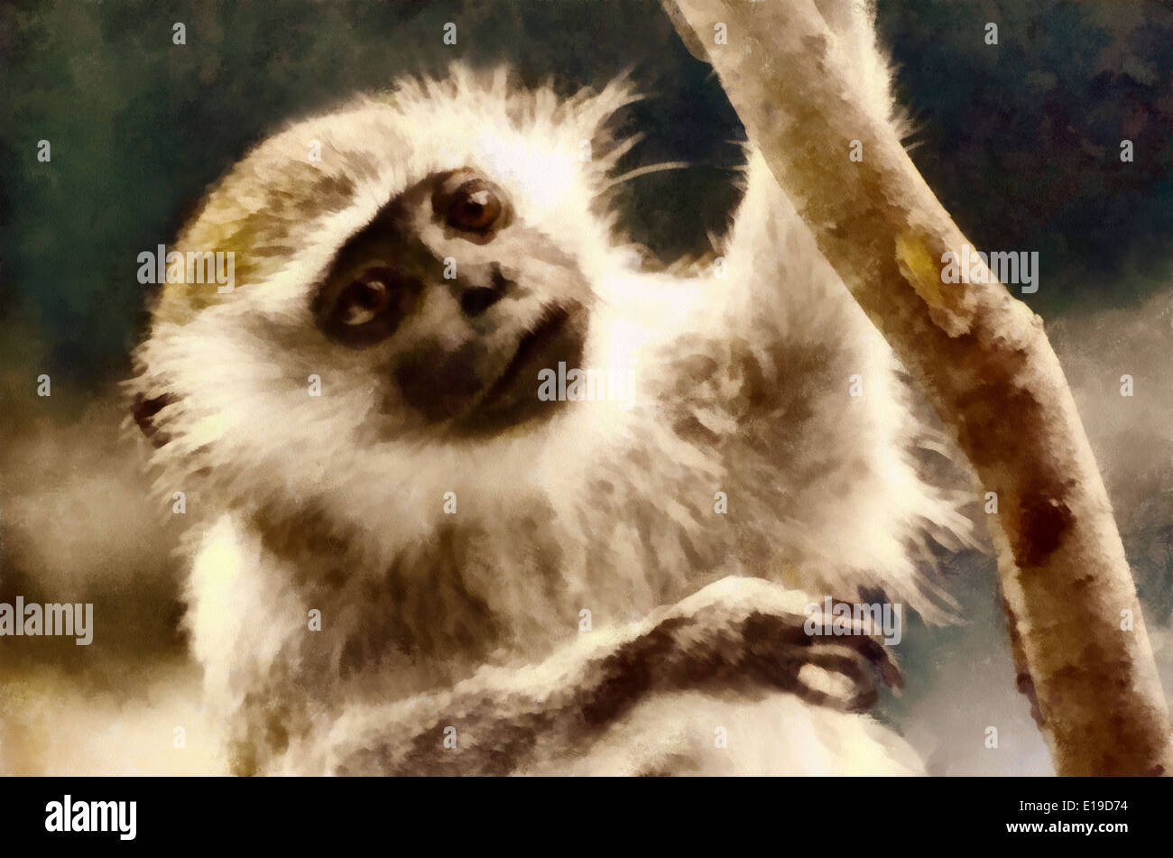 Green monkey illustrations hi-res stock photography and images - Alamy