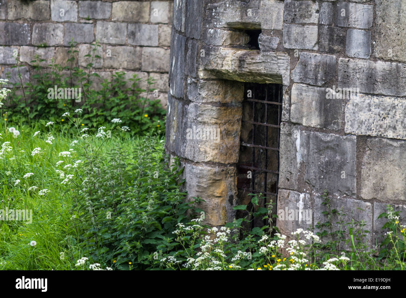 Castle metal gate hi-res stock photography and images - Alamy