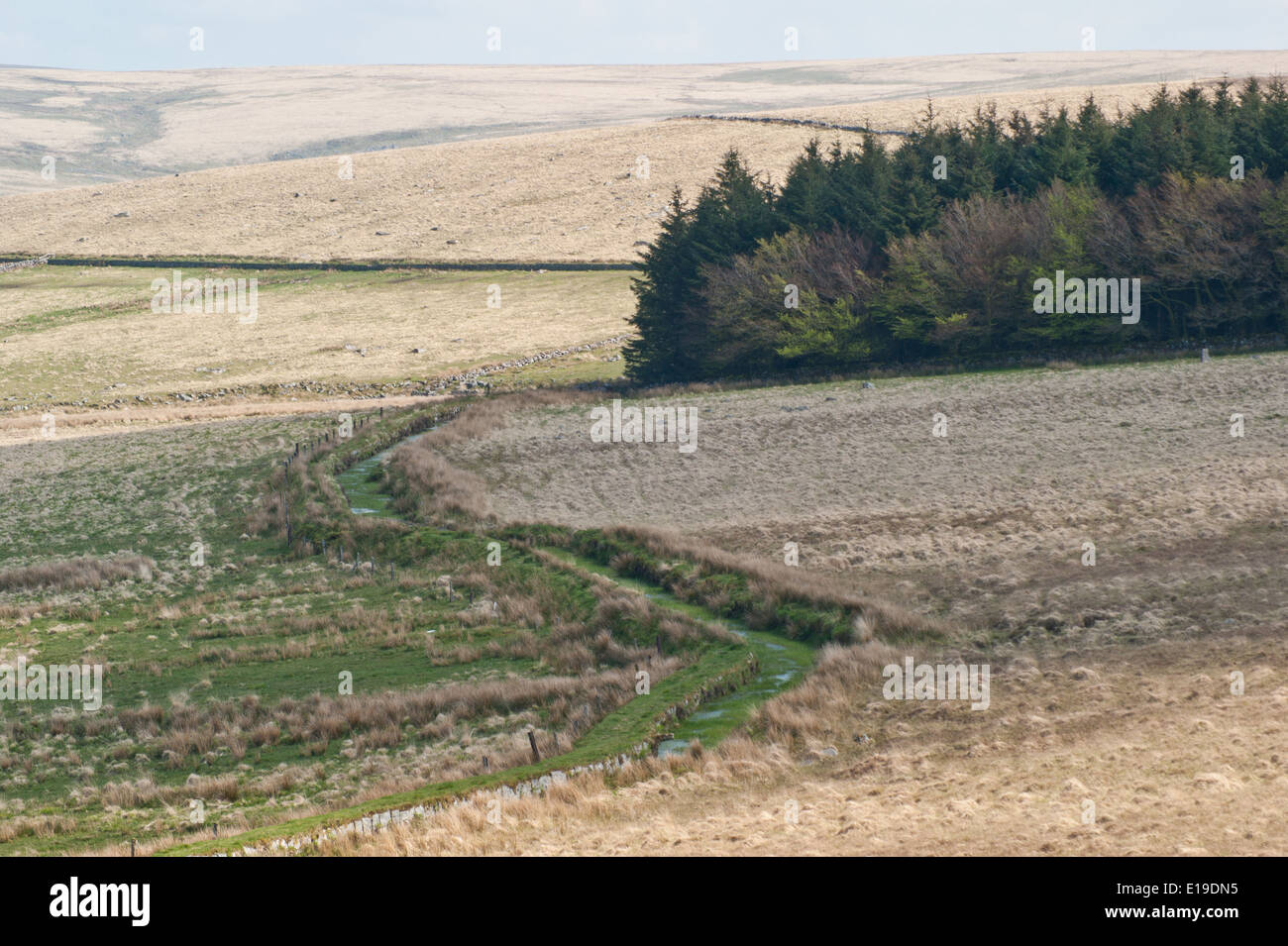 Arid grassland hi-res stock photography and images - Alamy