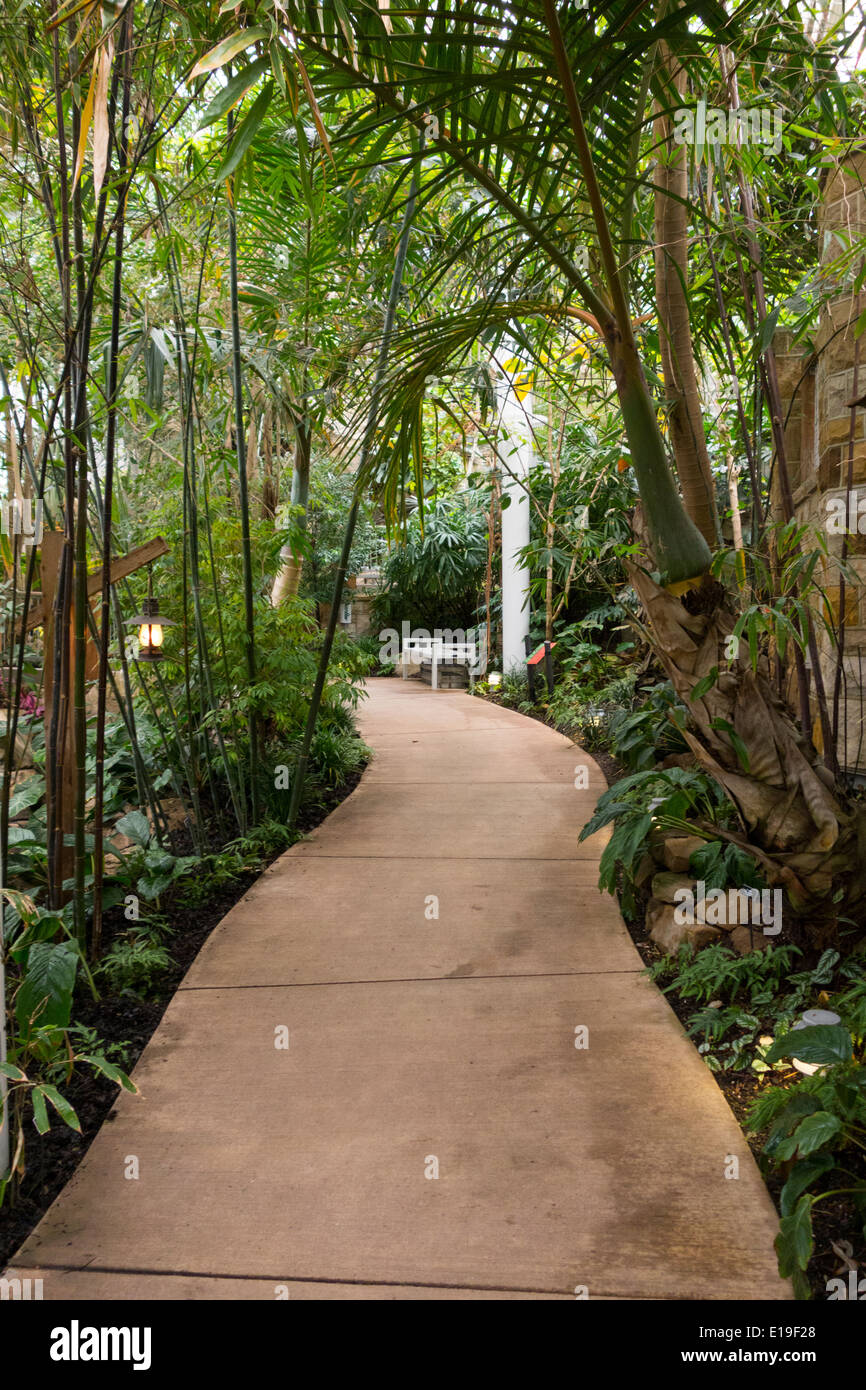 Phipps conservatory tropical plants hi-res stock photography and images ...