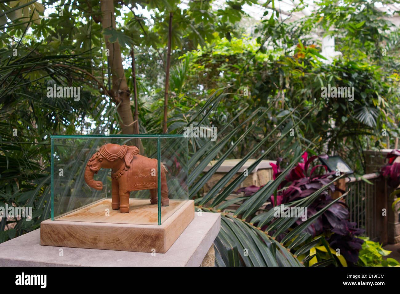 tropical forest in the Phipps conservatory Pittsburgh PA Stock Photo ...
