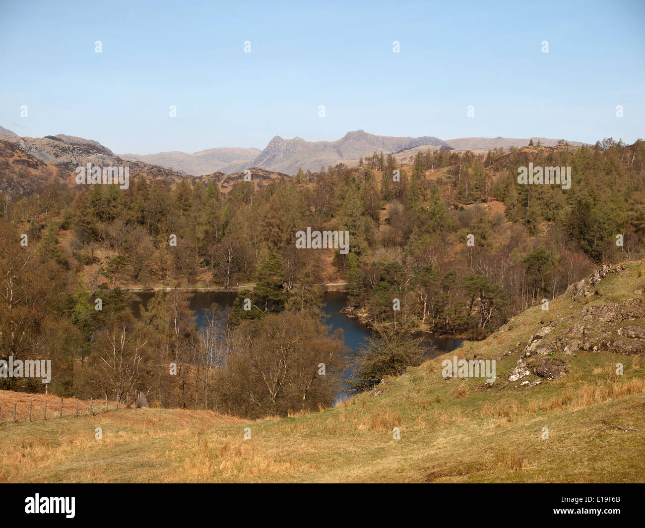 Tarn Hows Lake District Cumbria England UK Stock Photo - Alamy