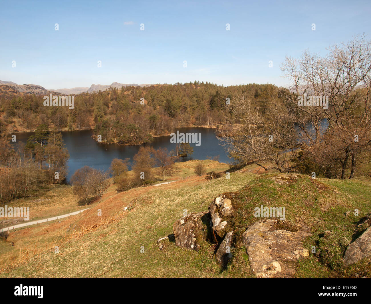Tarn Hows Lake District Cumbria England UK Stock Photo - Alamy