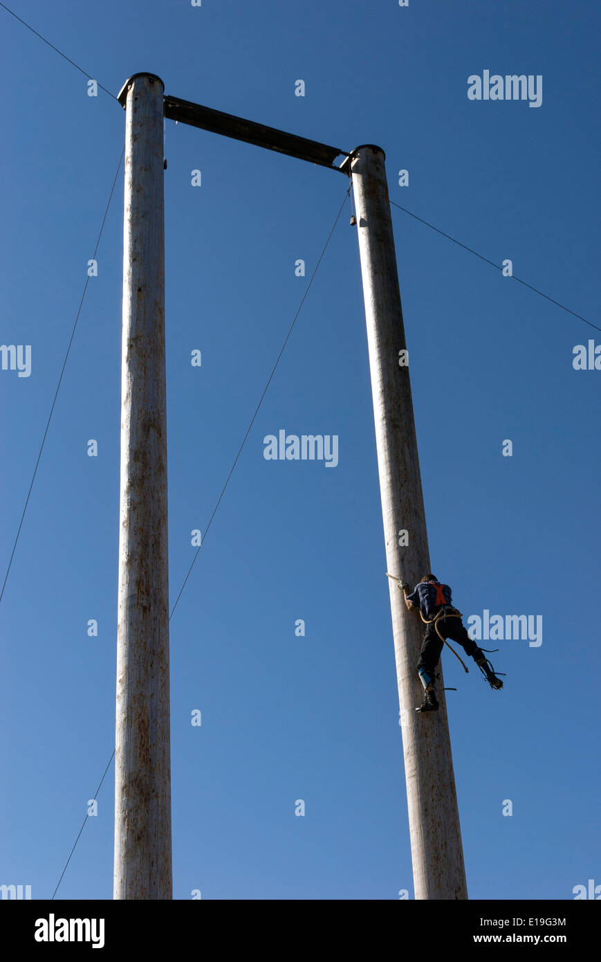 Lumberjack canada hi-res stock photography and images - Alamy