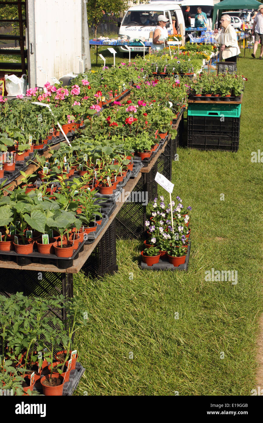 Selling plants hi-res stock photography and images - Alamy