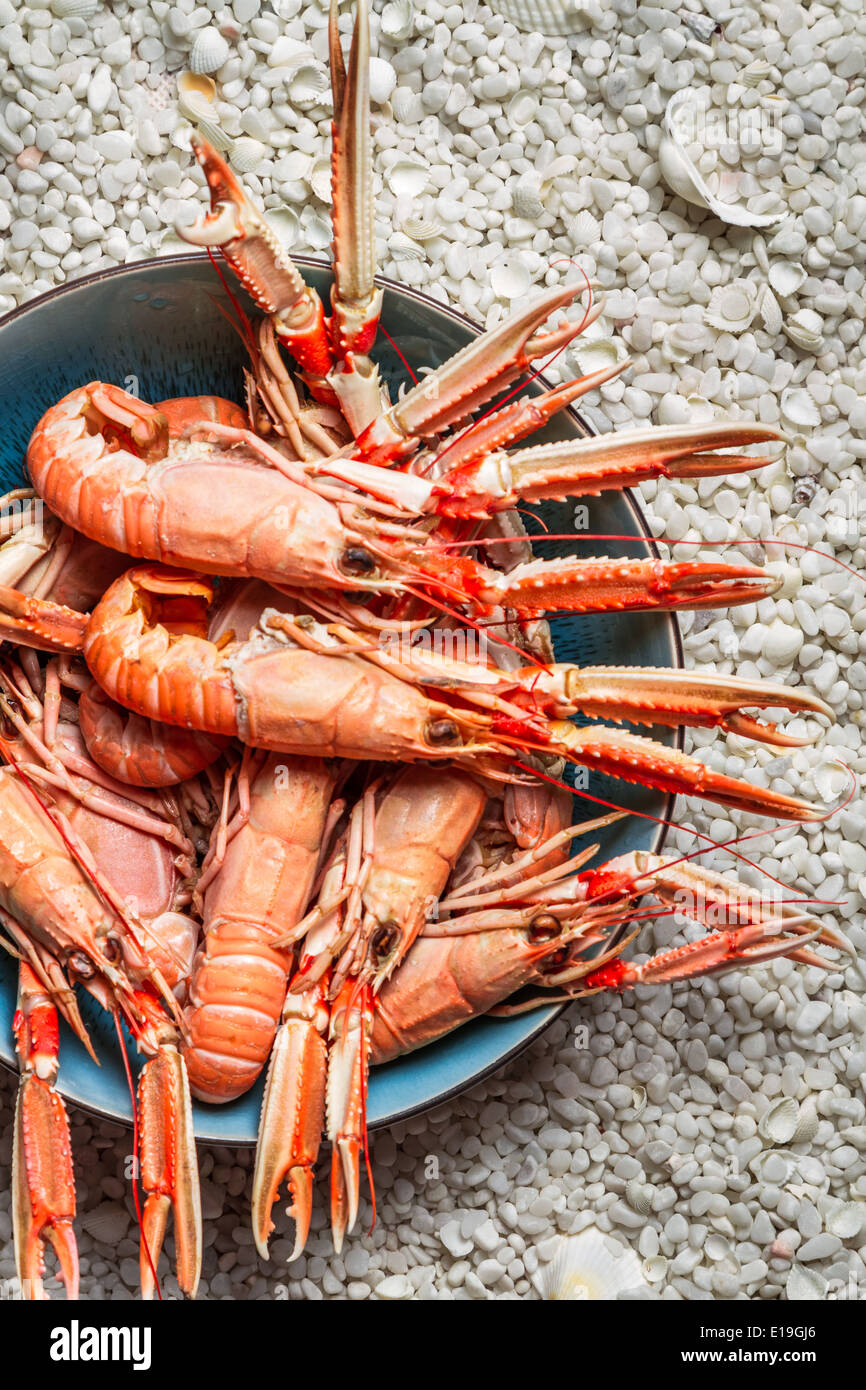 Straight from the sea hi-res stock photography and images - Alamy