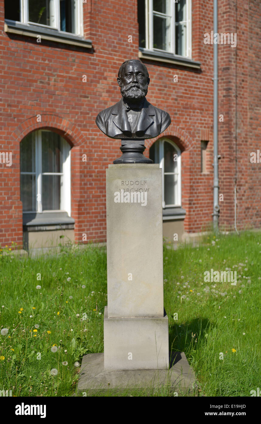 Bueste Rudolf Virchow, Charite, Berlin, Deutschland / Büste Stock Photo ...