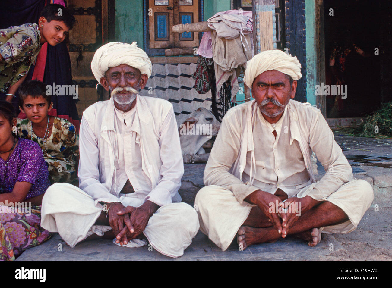 Seated Cow India High Resolution Stock Photography and Images - Alamy