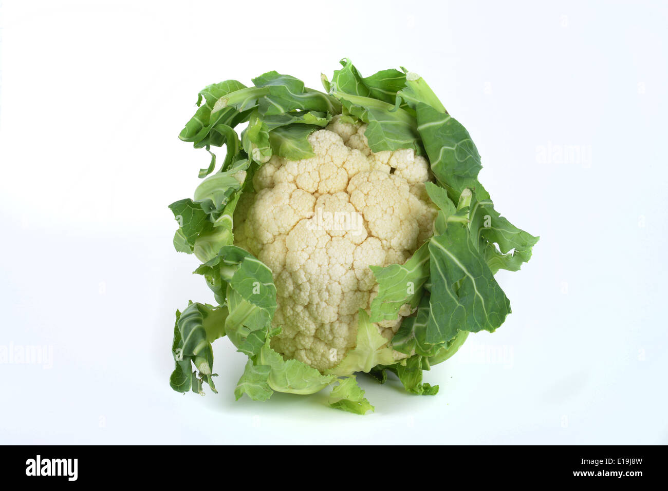 Blumenkohl hi-res stock photography and images - Alamy