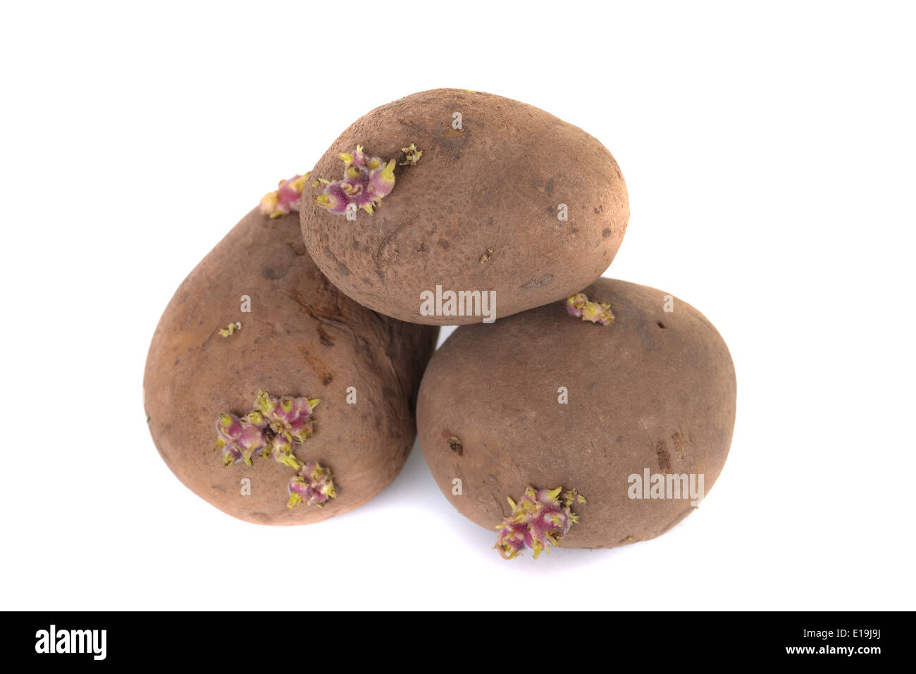 Keimen hi-res stock photography and images - Alamy