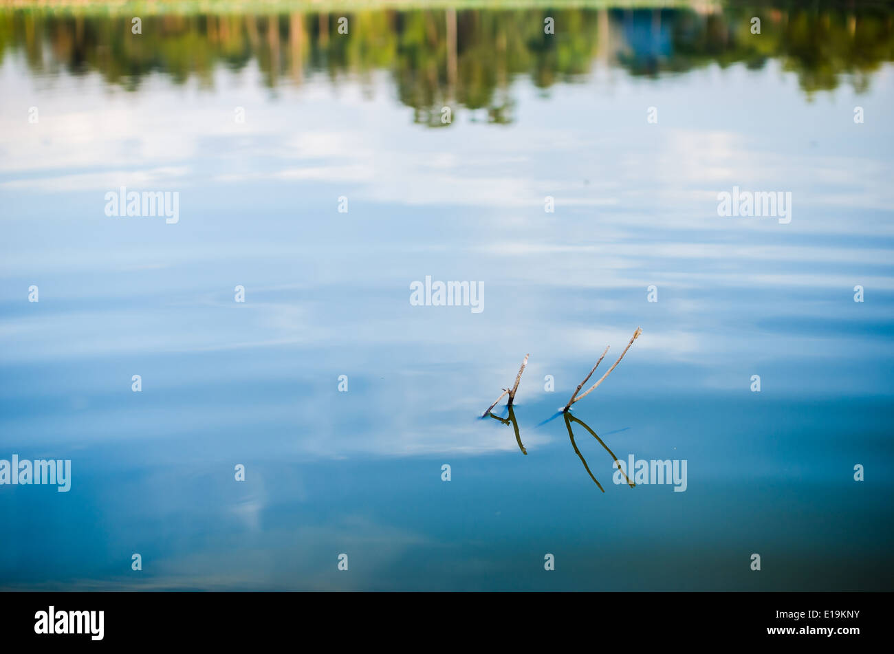 Pond and water reflection in spring nature in Thailand Stock Photo - Alamy