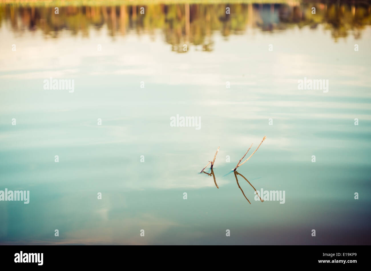 Pond and water reflection in spring nature in Thailand vintage Stock ...