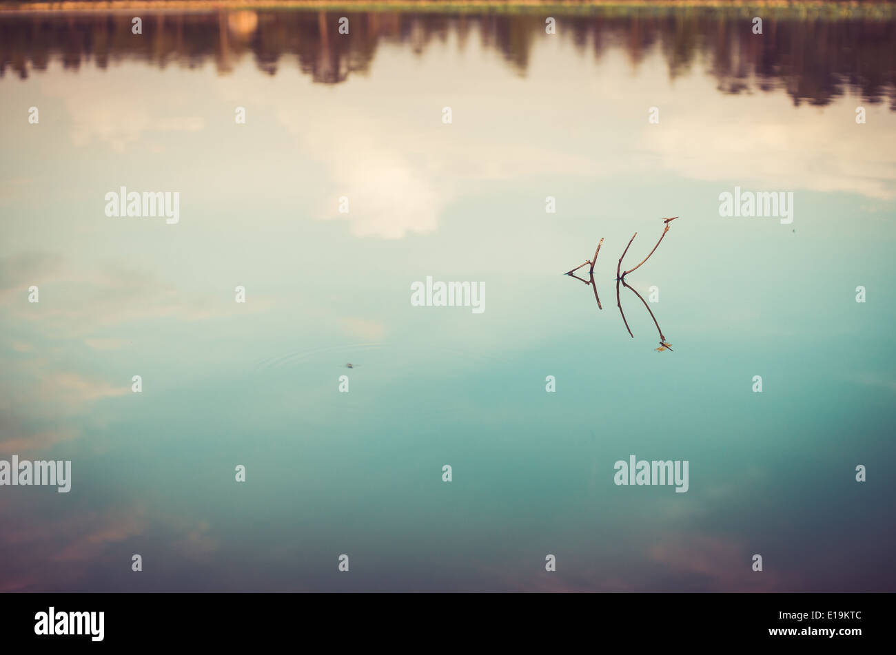 Pond and water reflection in spring nature in Thailand vintage Stock ...