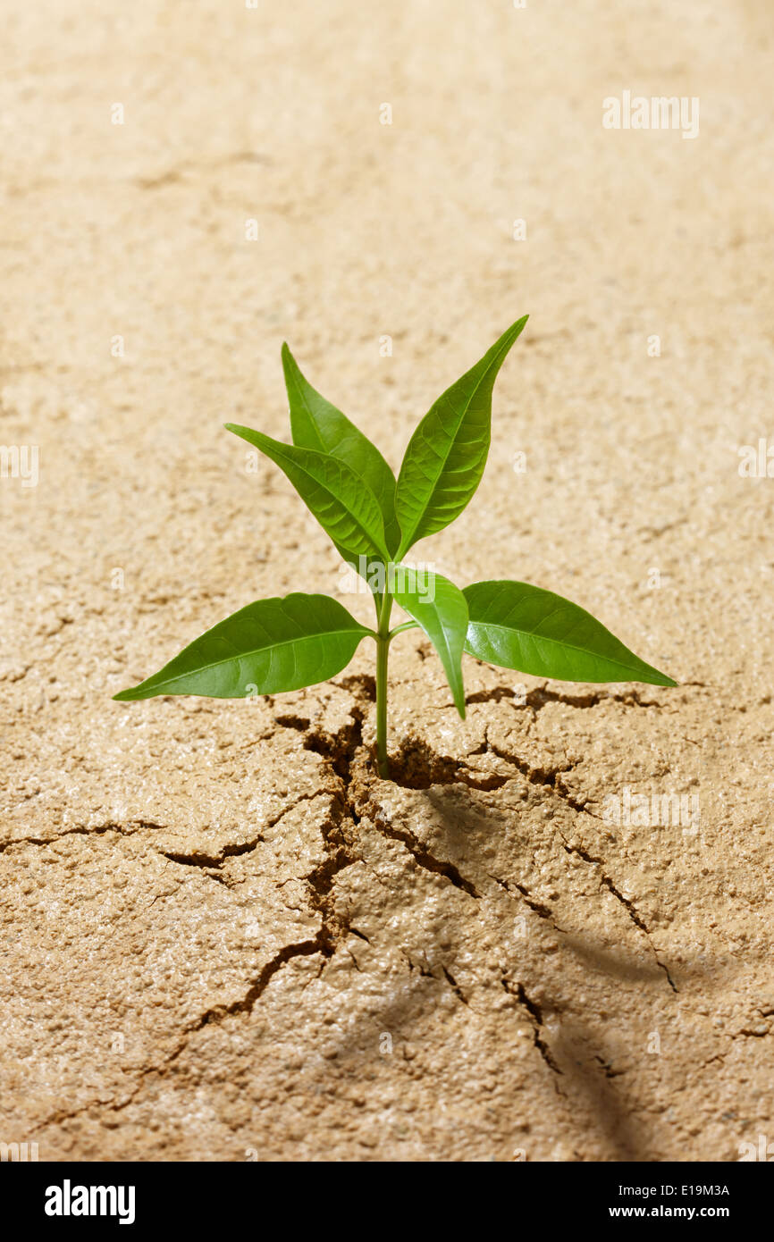 Breaking soil up hi-res stock photography and images - Alamy