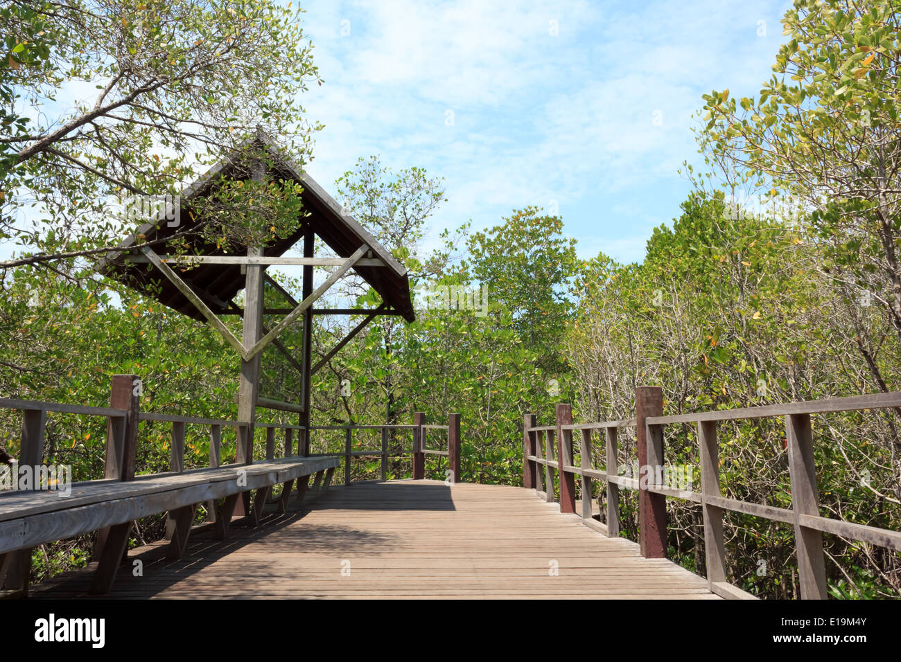 Mangrove bridge hi-res stock photography and images - Alamy
