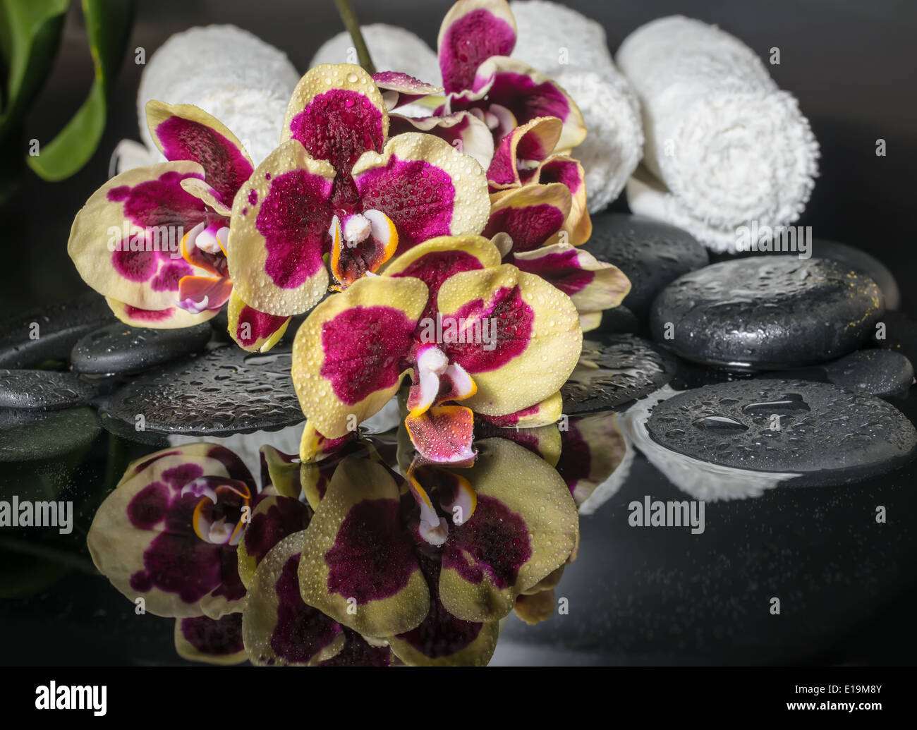 Beautiful Spa concept of zen stones, blooming twig orchid, phalaenopsis ...