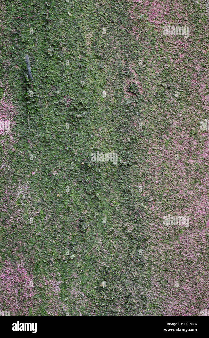 old weathered grungy wall background Stock Photo - Alamy