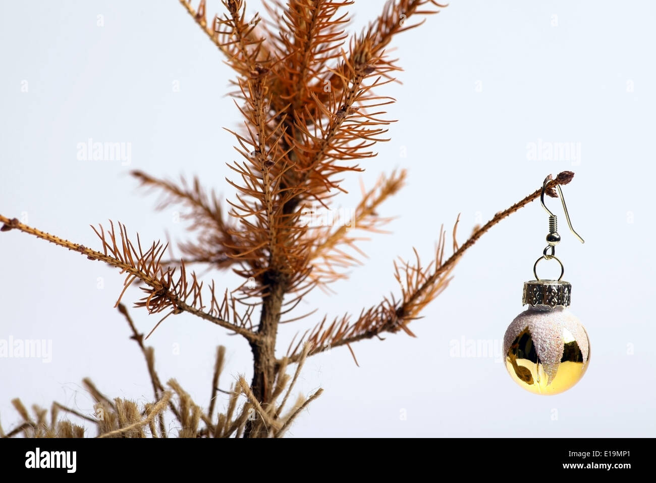 Sad christmas tree hi-res stock photography and images - Alamy