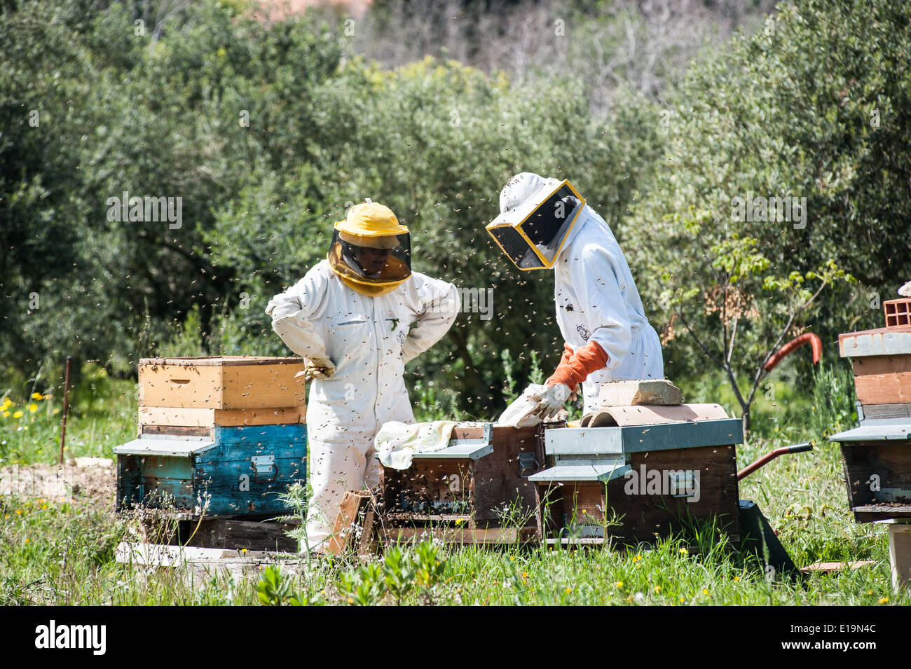 Beehive beekeeper hi-res stock photography and images - Alamy