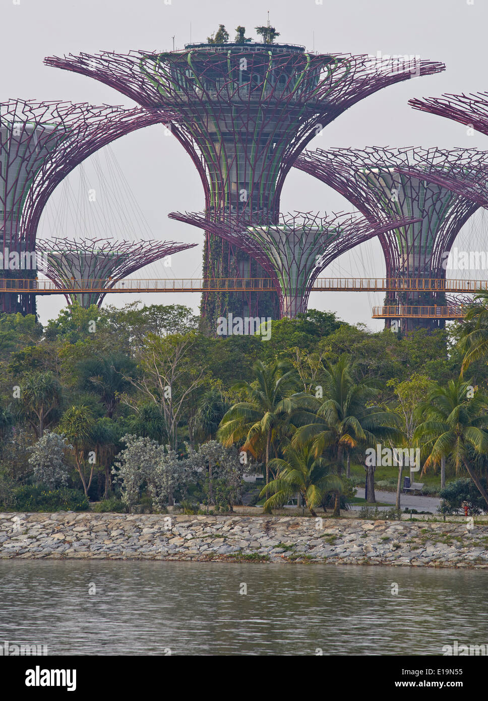 Gardens by the Bay, Singapore, Singapore. Architect: Wilkinson Eyre ...