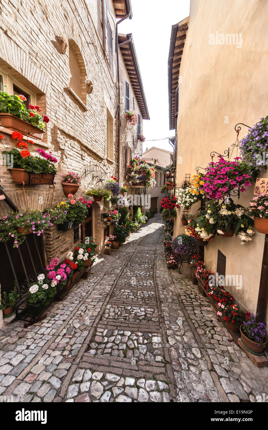 Street in spello hi-res stock photography and images - Alamy