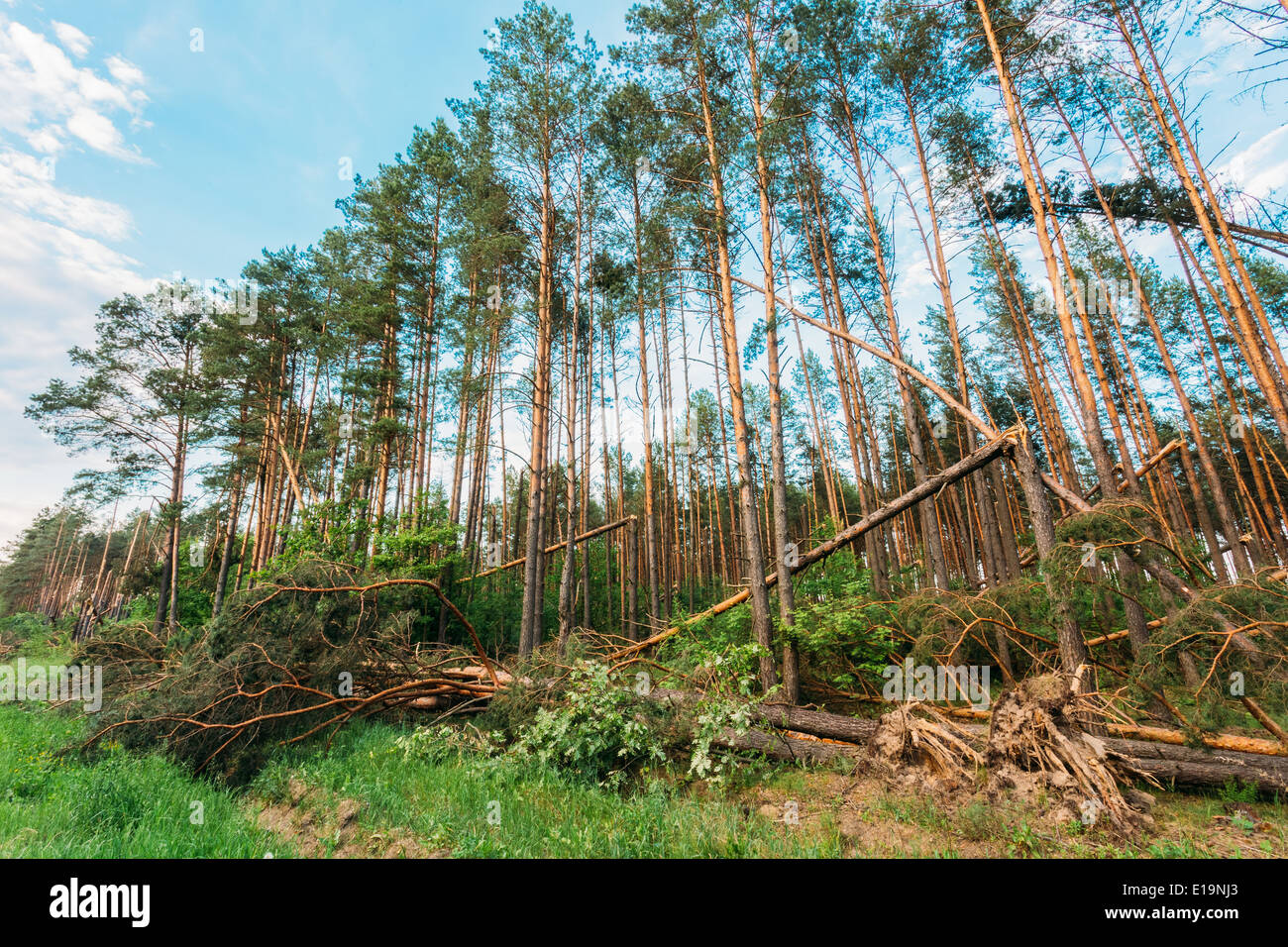 Green sky tornado disaster green sky hi-res stock photography and ...