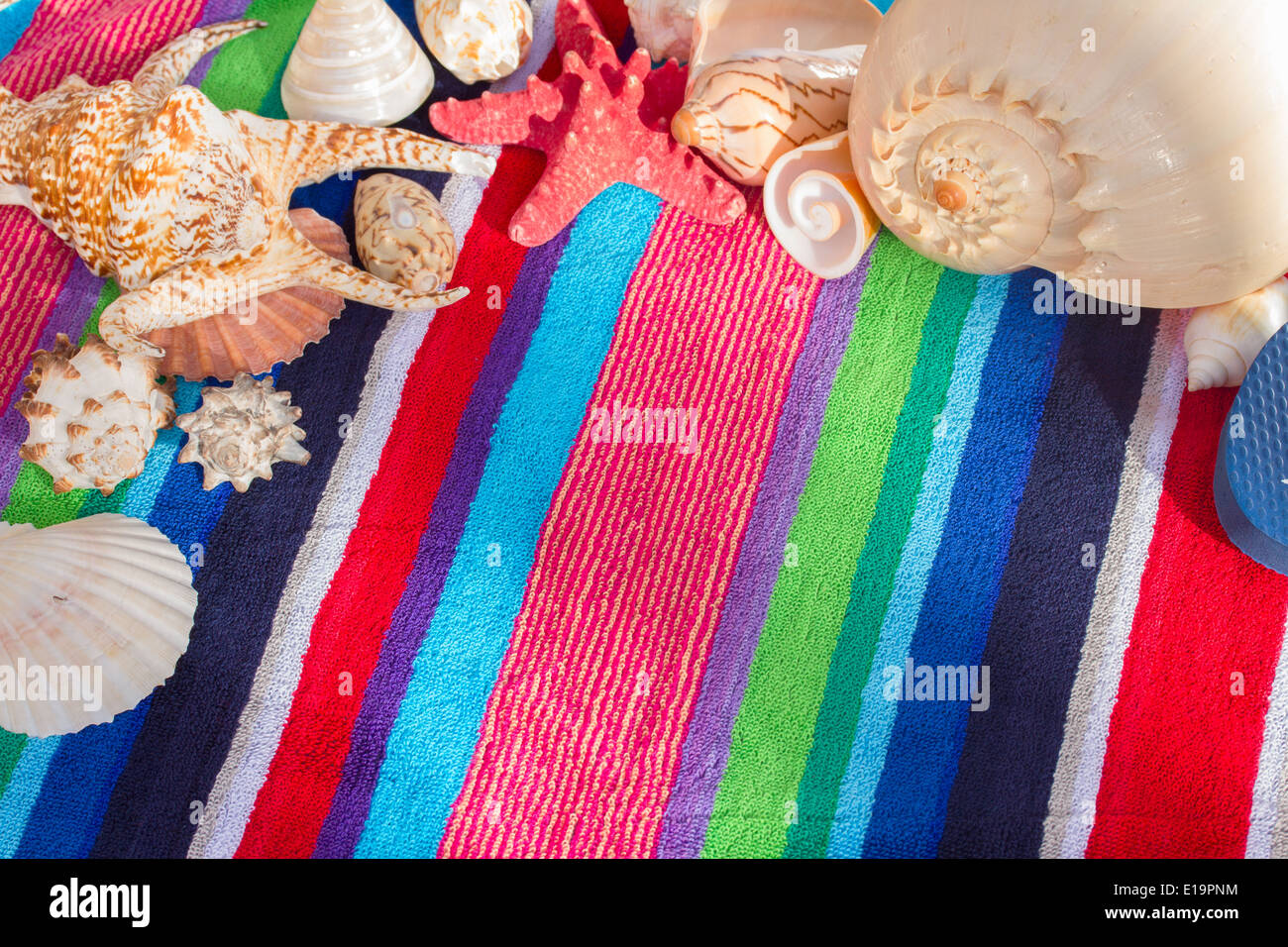 sea shells on beach towel Stock Photo - Alamy