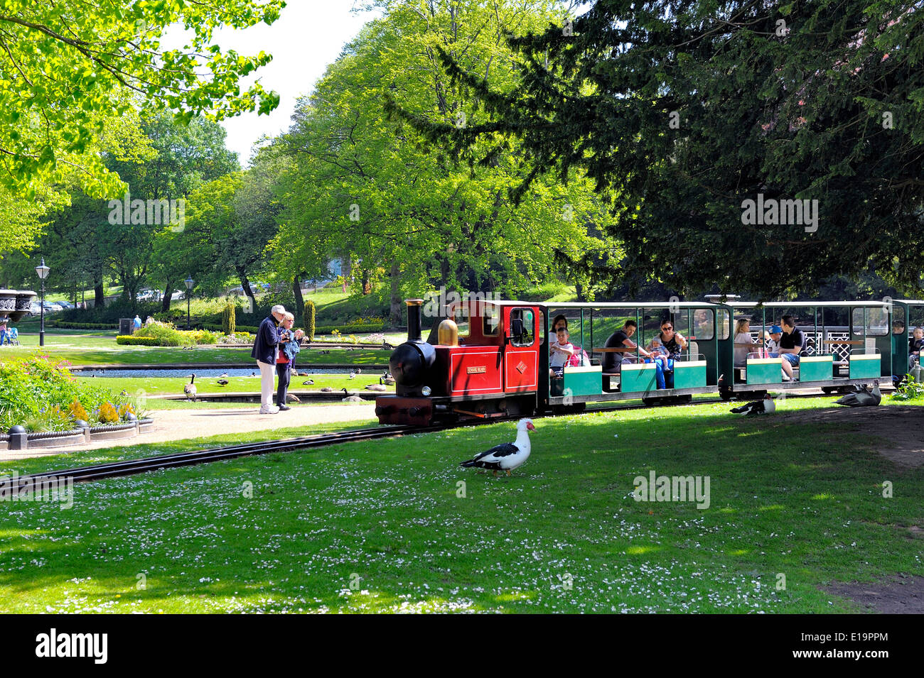 Mini train rides hi-res stock photography and images - Alamy