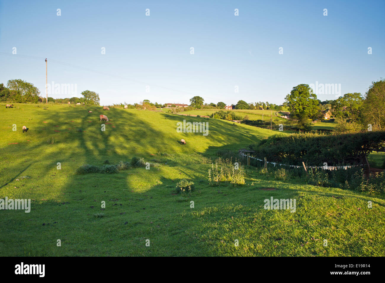 The village of Upper Harlestone Northamptonshire Stock Photo - Alamy