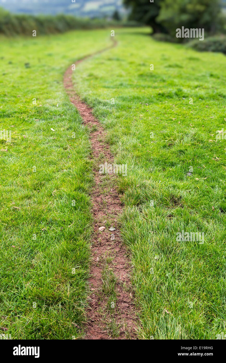 Footpath receding into distance across edge of field, Wales, UK Stock ...