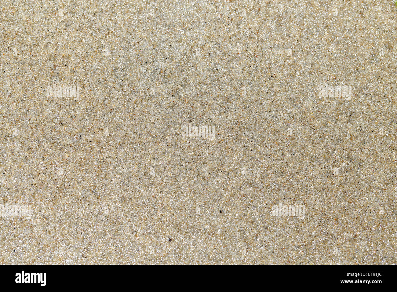 Texture of white sand photographed close up Stock Photo - Alamy