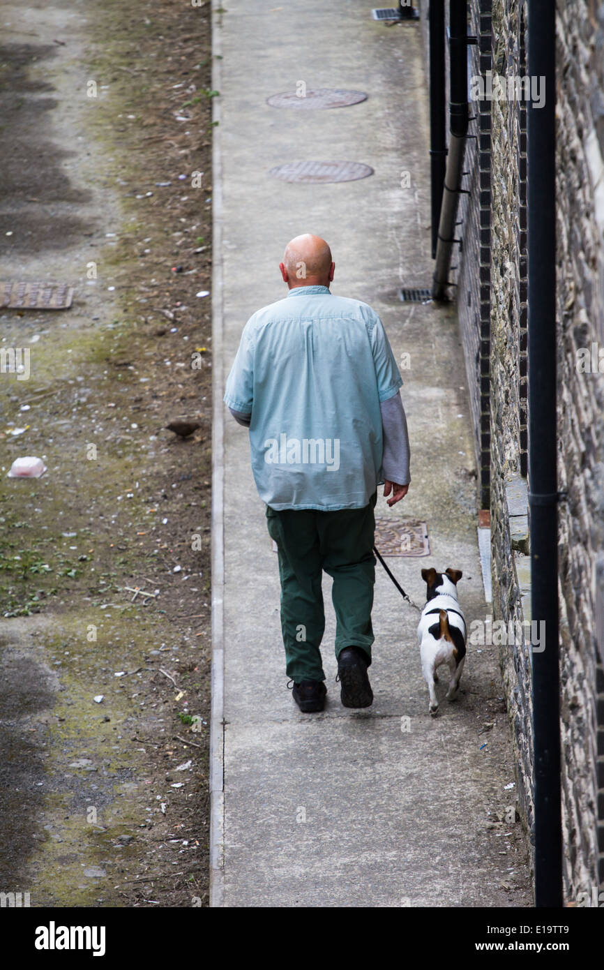 Aberystwyth, Wales, UK. A bald-headed man and his Jack Russell dog walk ...