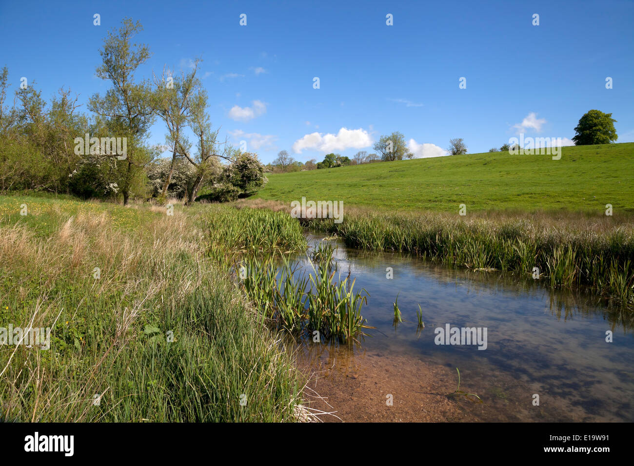 River dikler, cotswolds hi-res stock photography and images - Alamy