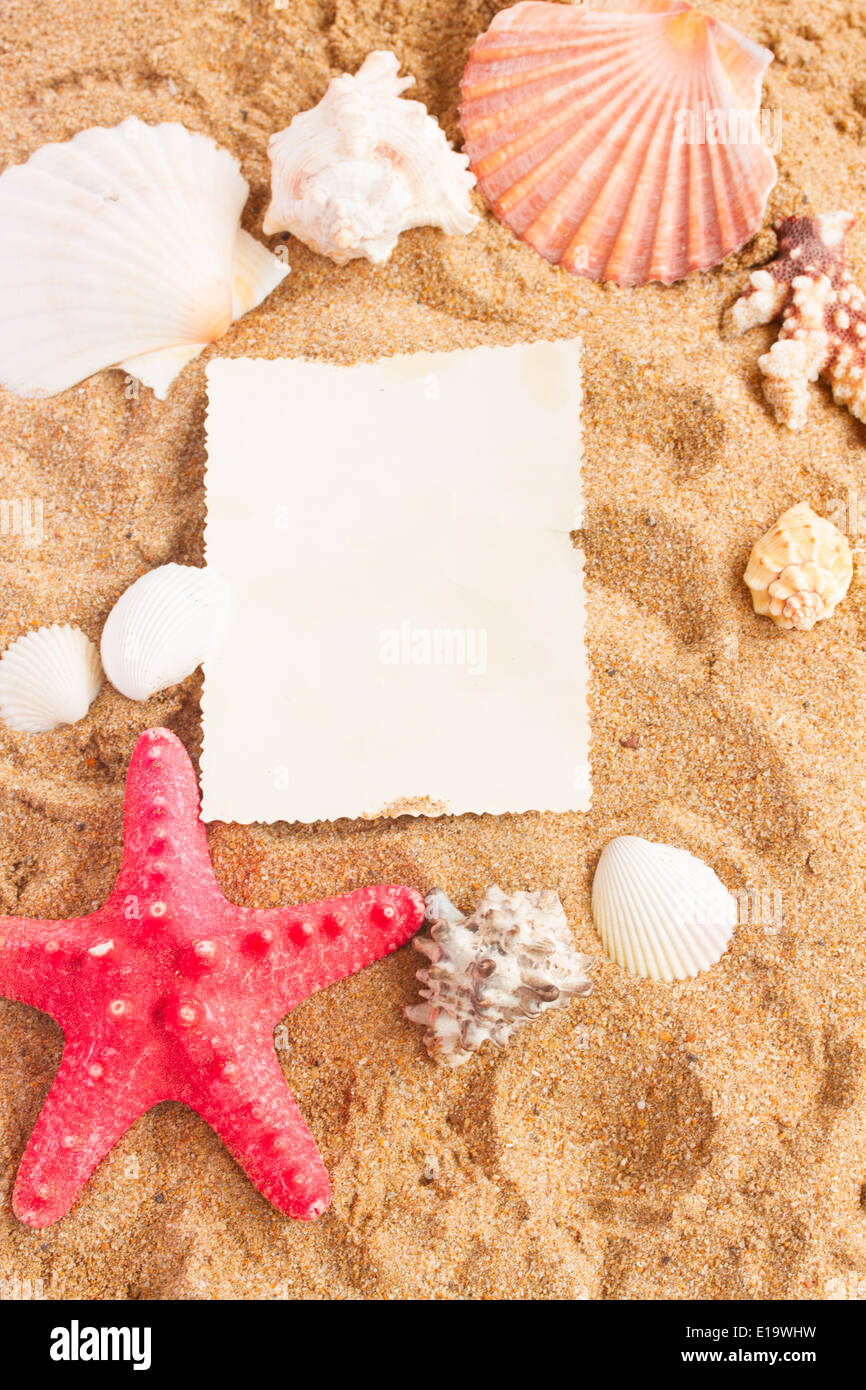 starfish ans seashells frame on sand Stock Photo - Alamy
