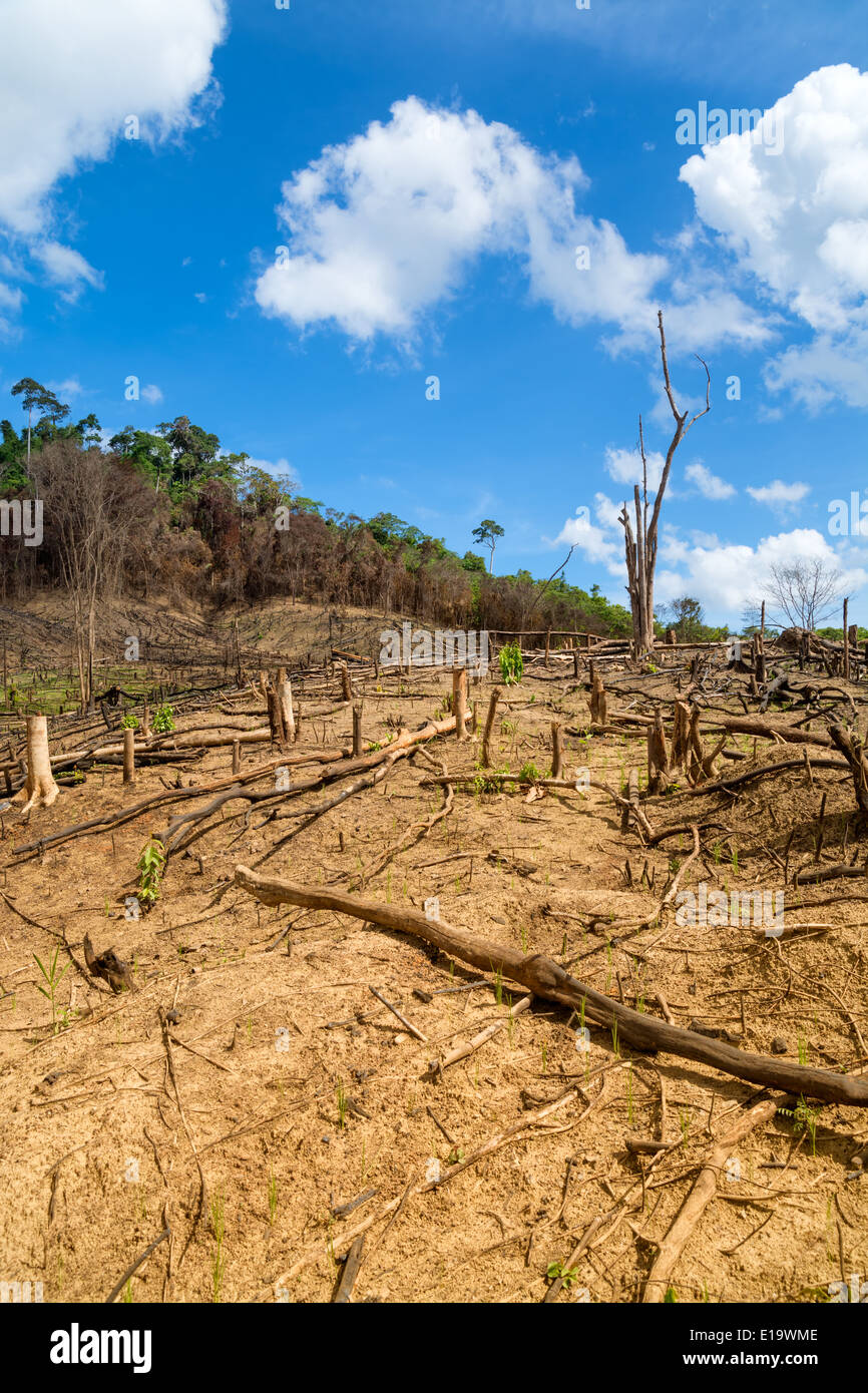Deforestation in El Nido, Palawan - Philippines Stock Photo: 69673870 ...
