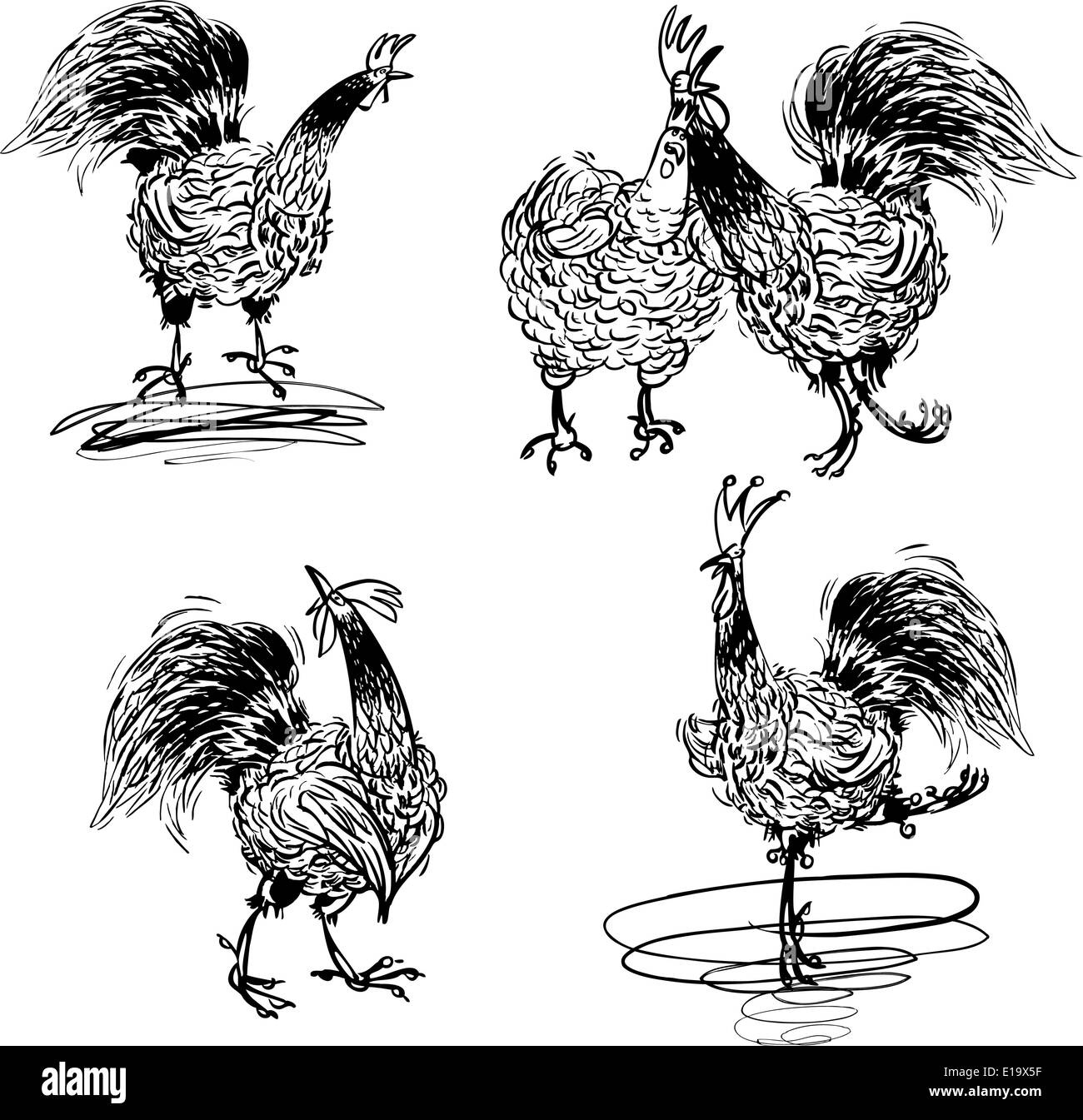 Roosters and a Hen black and white, vector illustration Stock Vector ...