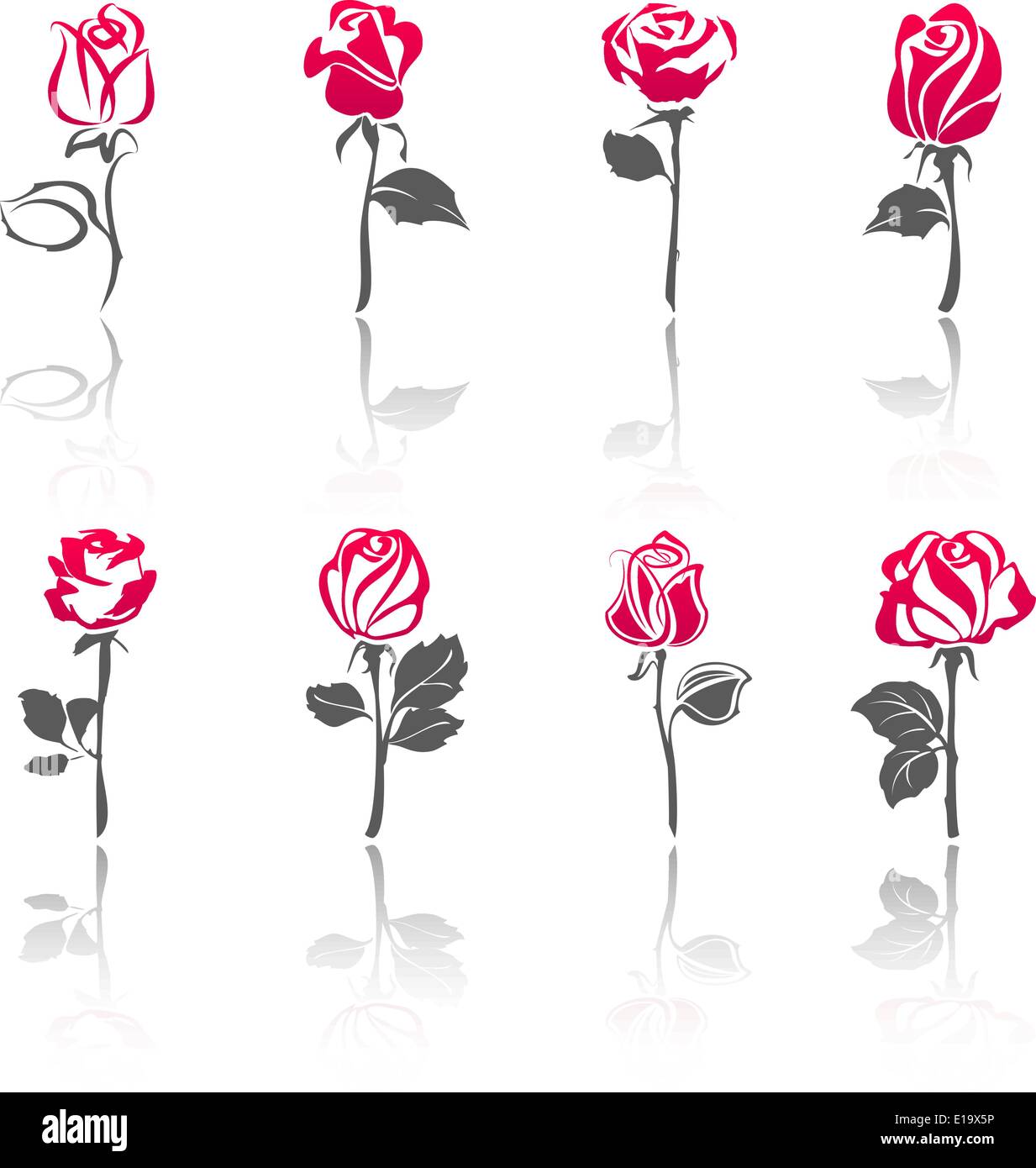 Roses, set icons with reflection Stock Vector Image & Art - Alamy