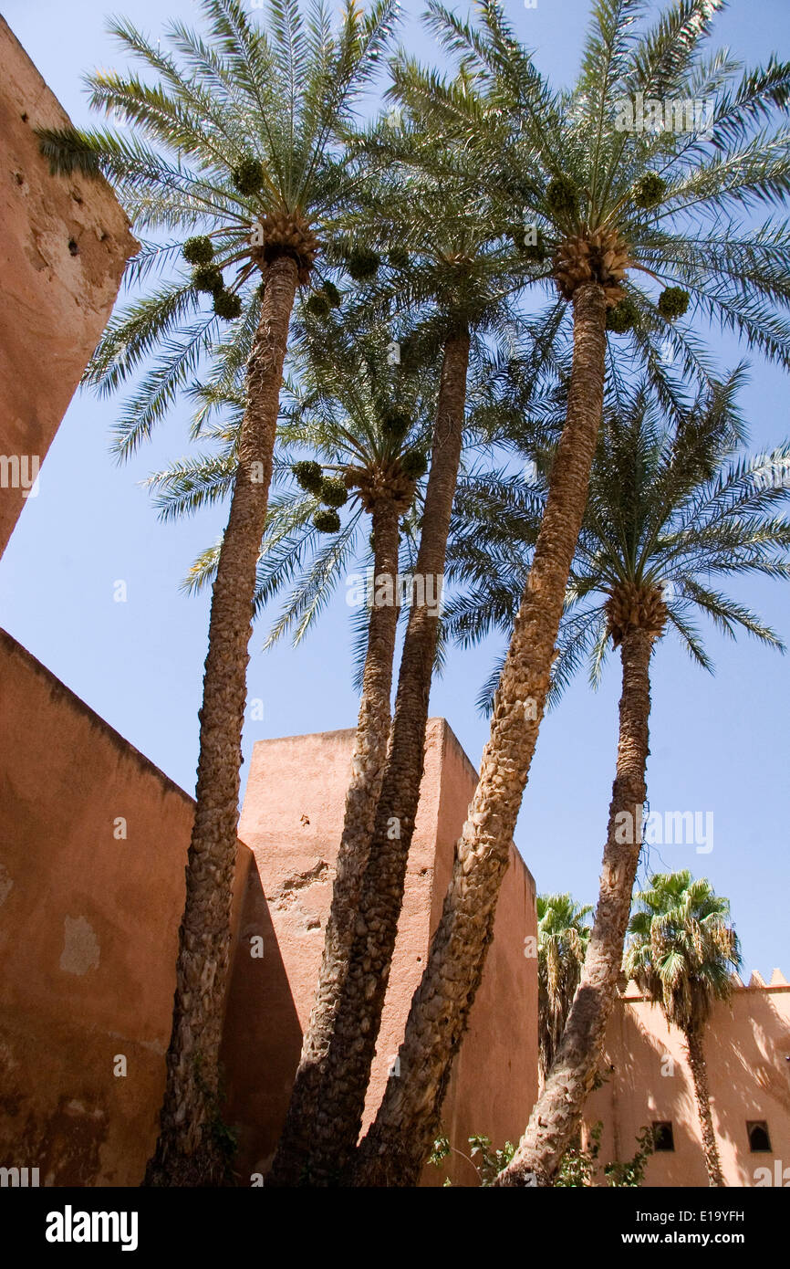 El Badi palace, Marrakech, Morocco Stock Photo - Alamy