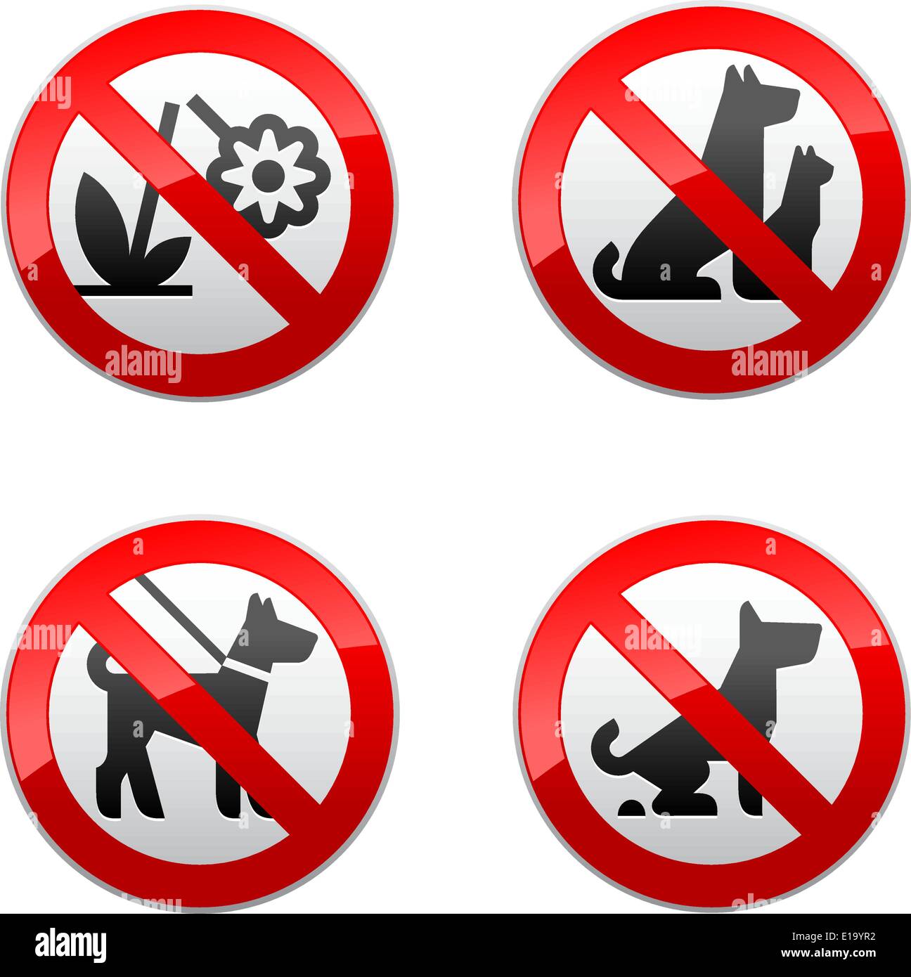 Set prohibited signs - animals Stock Vector Image & Art - Alamy